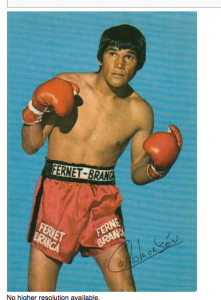 Top Ten Middleweight Champions since 1960 - RingWise Boxing - Boxing ...